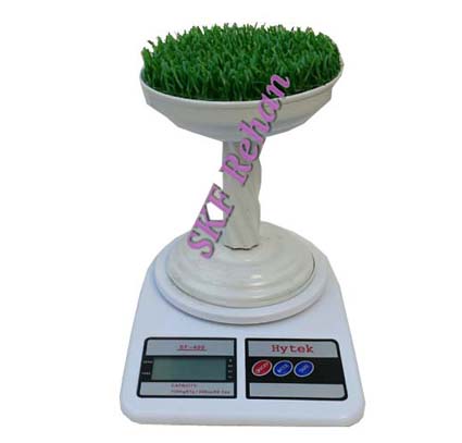 Falconry Digital Weight Scale. | SKF Rehan