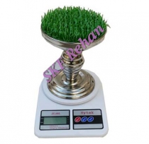 Falconry Digital Weight Scale. | SKF Rehan